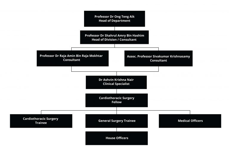 Who We Are – Division of Cardiothoracic Surgery